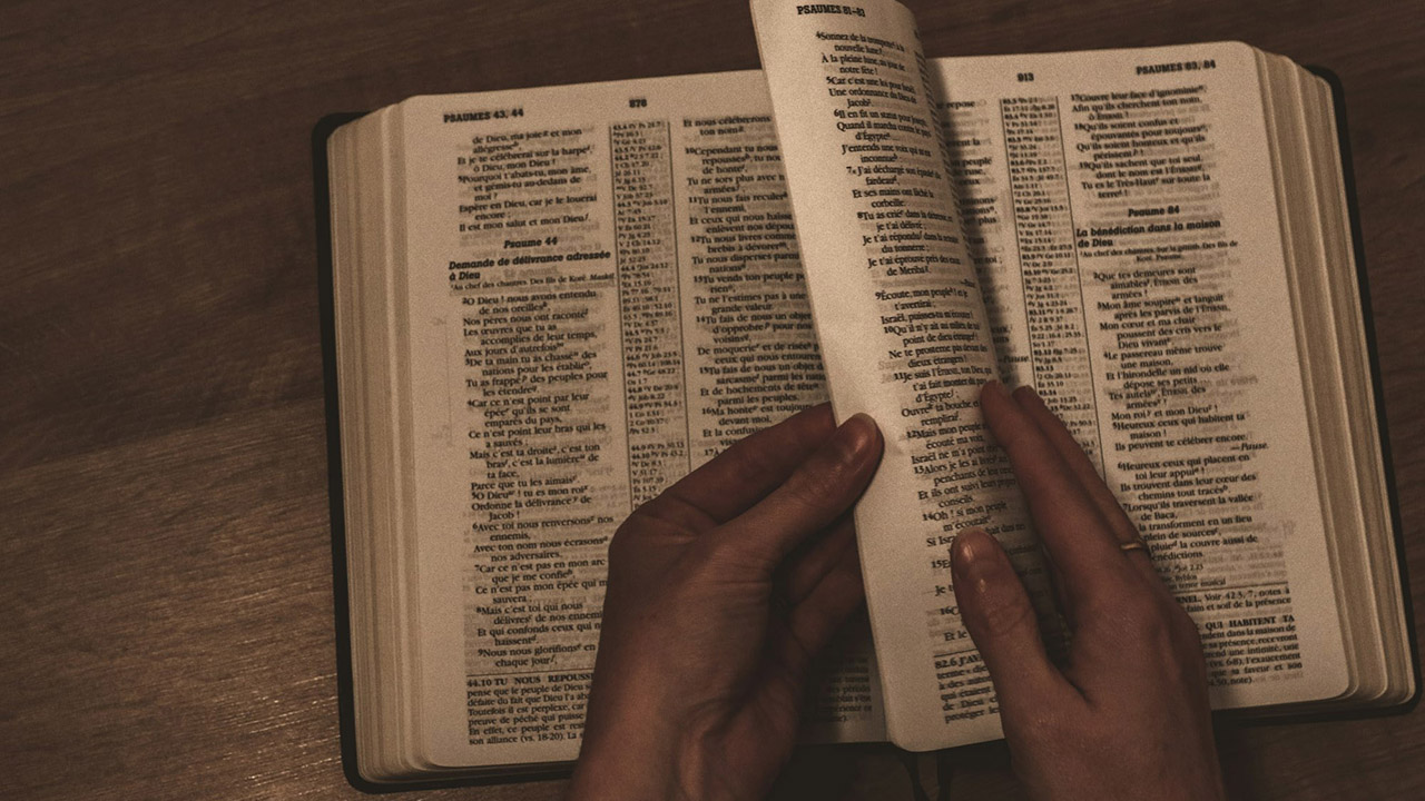 How To Connect Elasticsearch To Django Rest Framework 1704